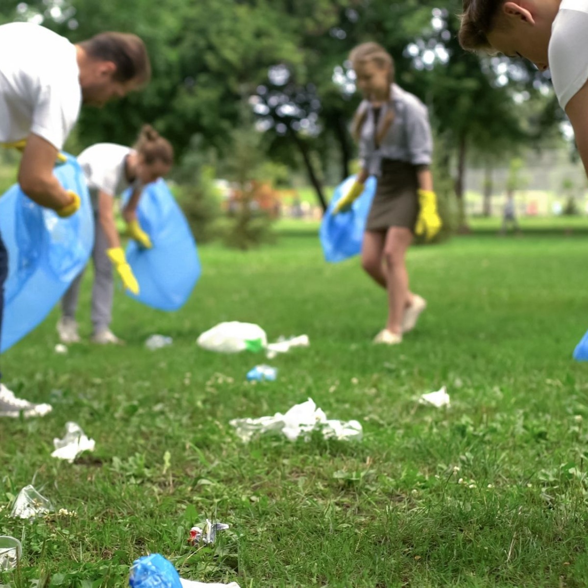 The PiXL Club - New PiXL Green Edge award launched on 17th March, to ...